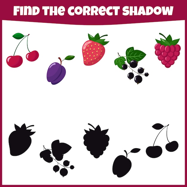 Vibrant Fruit Shadows: A Fun Visual Matching Game | Jiffy Designs
