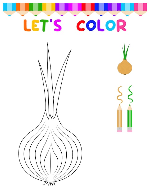 Vibrant Onion Coloring Template with Diverse Pencils | Jiffy Designs