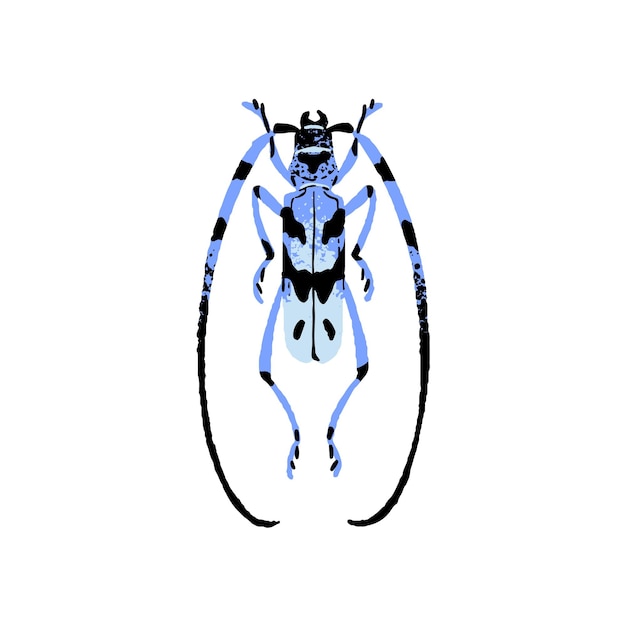Striking Blue and Black Insect Illustration | Jiffy Designs