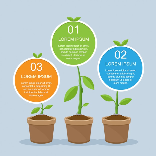 Vibrant Plant Growth Infographic with Circular Text Boxes | Jiffy Designs