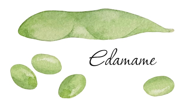 Edamame: A Vibrant Green Delight | Jiffy Designs
