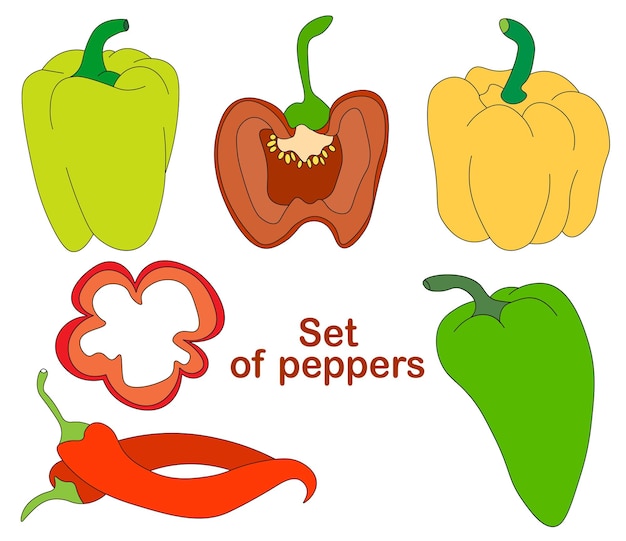 Vibrant Collection of Peppers in Diverse Shapes and Colors | Jiffy Designs