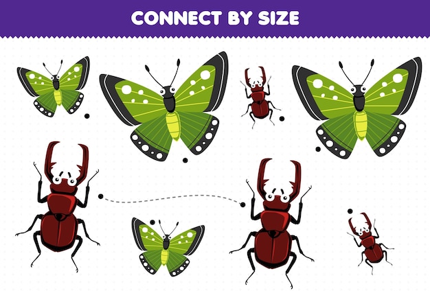Diverse Collection of Vibrant Butterflies and Beetles | Jiffy Designs