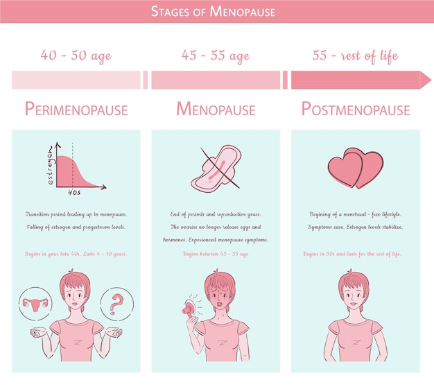 Informative Stages of Menopause Illustrated in Pastel Tones | Jiffy Designs