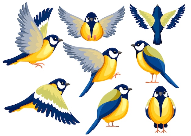 Vibrant Titmouse Birds in Flight: A Colorful Nature Illustration ...