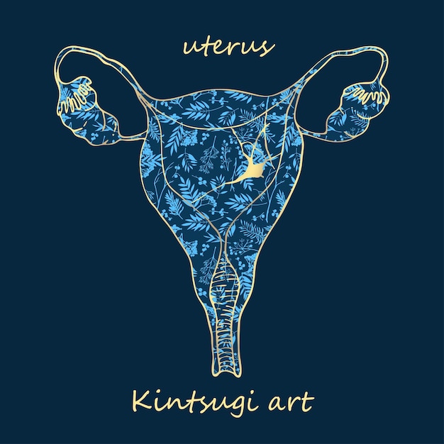 Captivating Anatomical Illustration of the Uterus in Vibrant Hues ...