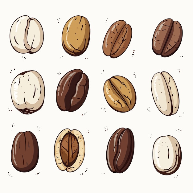 Diverse Collection of Vibrant Coffee Bean Illustrations | Jiffy Designs