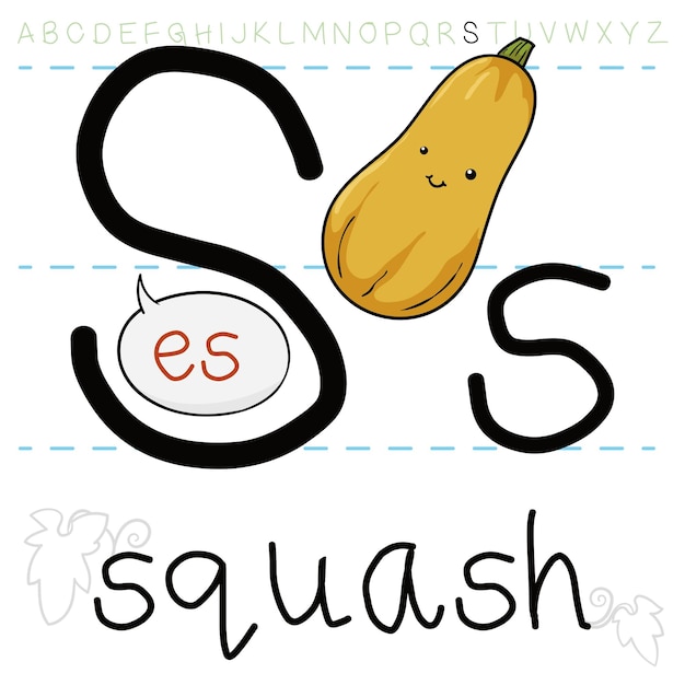 Charming Squash Illustration with Playful Typography | Jiffy Designs