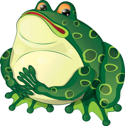 Cartoon Funny Fat Frog Sits And Looks | Jiffy Designs
