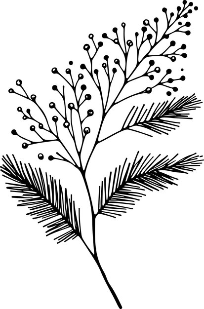 Elegant Evergreen Sprig with Intricate Berries | Jiffy Designs