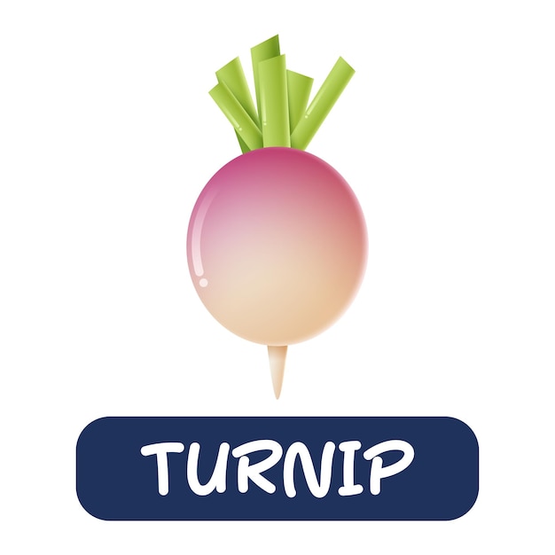 Vibrant Turnip Illustration with Gradient Coloring | Jiffy Designs