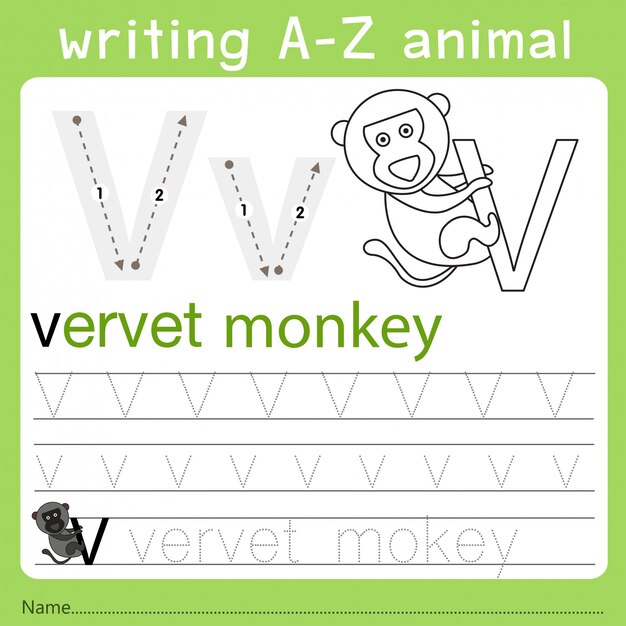 Vervet Monkey Handwriting Practice Template for Early Learners | Jiffy ...