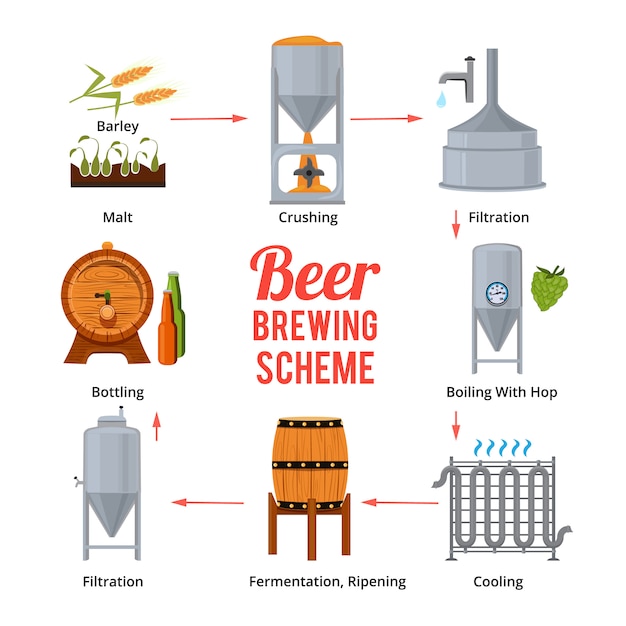 Detailed Illustration of the Beer Brewing Process | Jiffy Designs