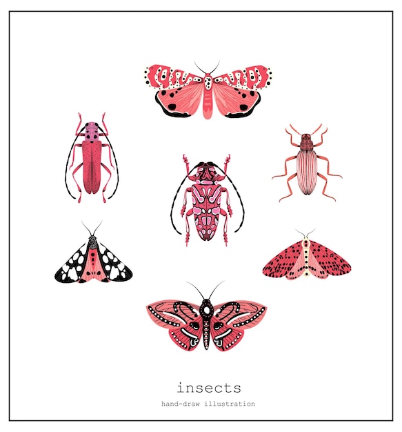 Vibrant Collection of Diverse Insect Illustrations | Jiffy Designs