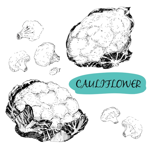 Monochrome Cauliflower Florets: A Botanical Illustration | Jiffy Designs