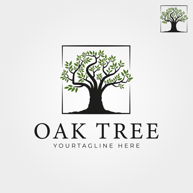 Elegant Oak Tree with Flourishing Foliage | Jiffy Designs