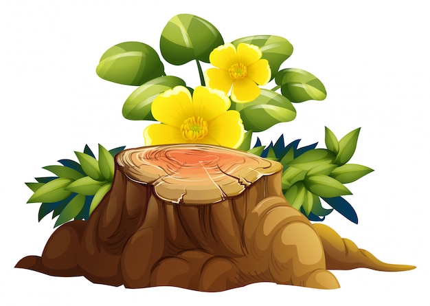 Vibrant Floral Blooms Atop a Rustic Tree Stump | Jiffy Designs