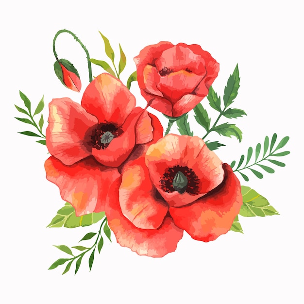 Vibrant Poppy Bouquet with Lush Foliage | Jiffy Designs