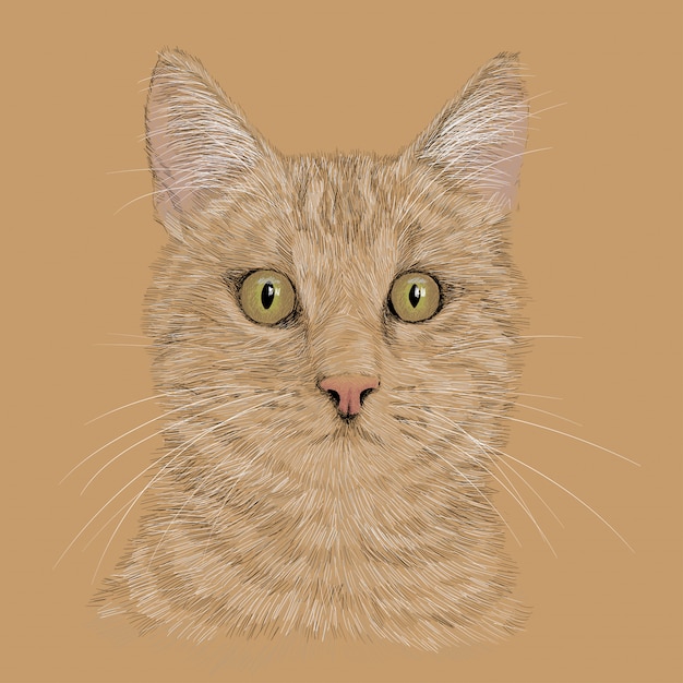 Captivating Feline Portrait: Striking Green-Eyed Tabby Cat | Jiffy Designs