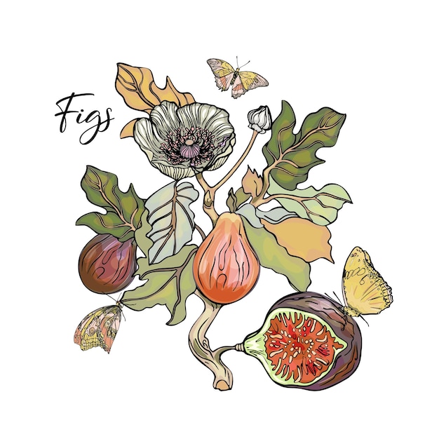 Vibrant Floral Arrangement with Figs and Butterflies | Jiffy Designs