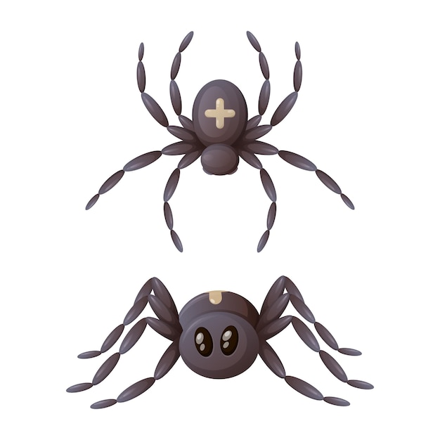 Creepy Crawly Cross-Marked Spiders in Monochrome | Jiffy Designs