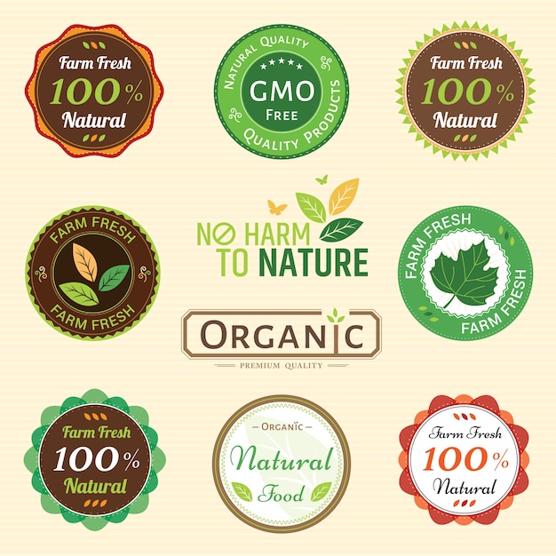 Vibrant Organic Labels Celebrating Nature's Bounty | Jiffy Designs