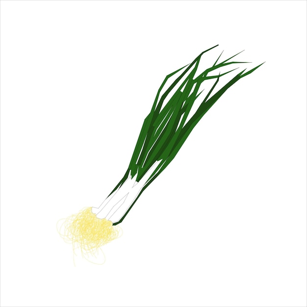 Vibrant Green Onion Illustration with Bold Strokes | Jiffy Designs