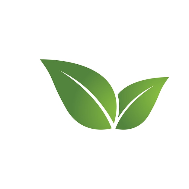 Vibrant Green Leaf Emblem with Natural Elegance | Jiffy Designs