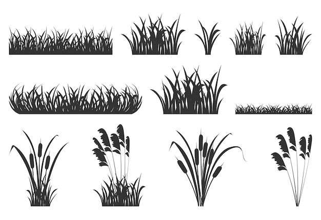 Diverse Silhouettes of Lush Grasses and Reeds in Nature | Jiffy Designs