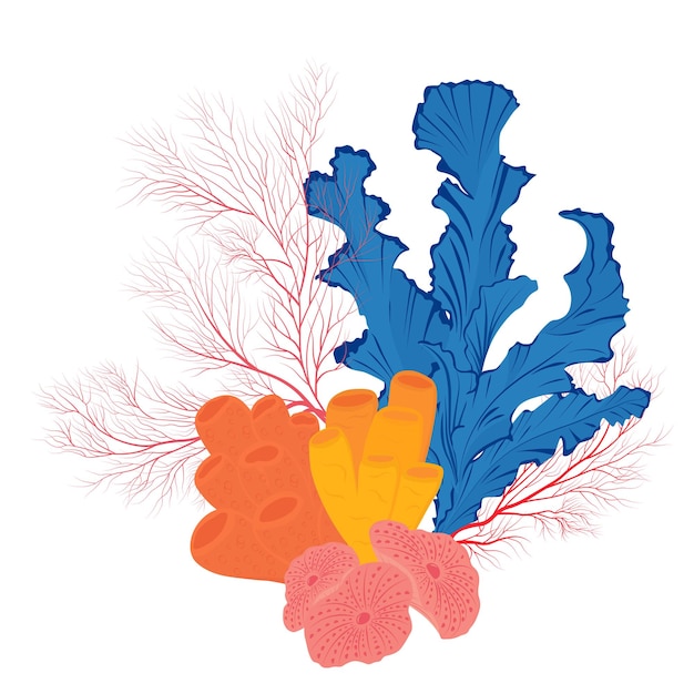 Vibrant Underwater Coral Reef Composition | Jiffy Designs