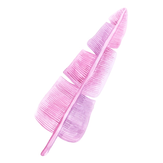 Elegant Pink Feather Design for Versatile Applications | Jiffy Designs