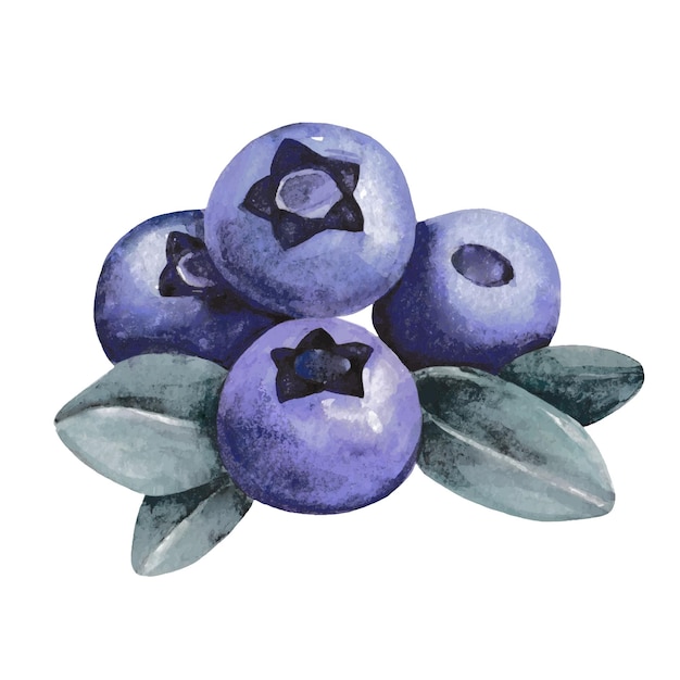 Vibrant Blueberry Cluster with Lush Foliage | Jiffy Designs