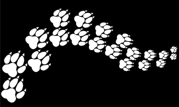 Cascading Paw Prints Across the Darkness | Jiffy Designs