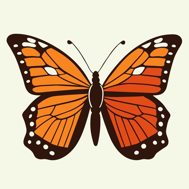 Vibrant Monarch Butterfly with Intricate Wing Details | Jiffy Designs
