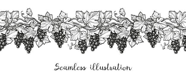 Elegant Grapevine Border with Lush Foliage and Ripe Clusters | Jiffy ...
