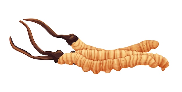 Intriguing Insect Creature with Segmented Body and Pincers | Jiffy Designs