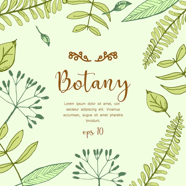 Botanical Illustration with Leaf Patterns and Typography | Jiffy Designs