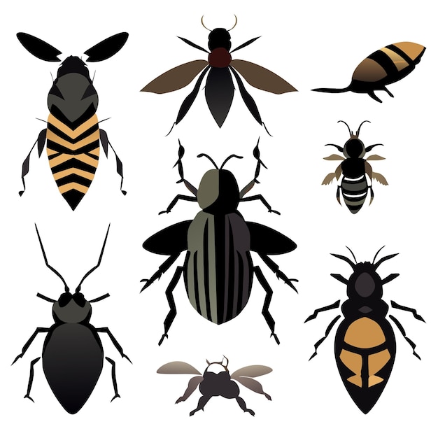Diverse Collection of Stylized Insect Illustrations | Jiffy Designs