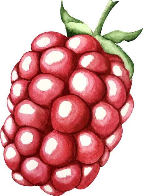 Vibrant Raspberry Cluster with Lush Foliage | Jiffy Designs