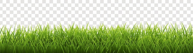 Vibrant Green Grass Blades Stretch Across the Landscape | Jiffy Designs