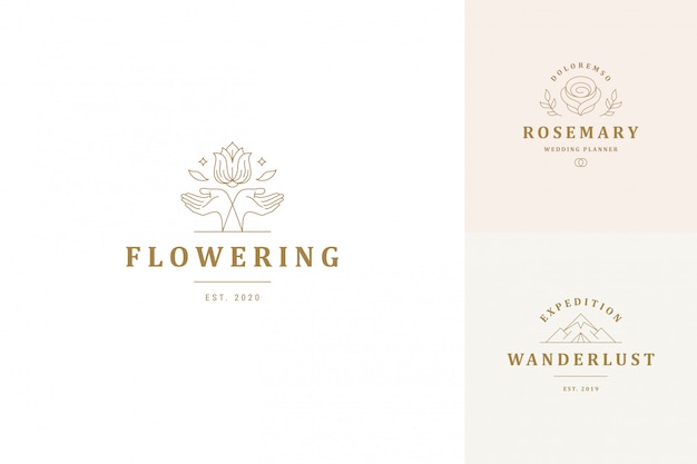 Elegant Floral Emblem with Refined Typography and Branding | Jiffy Designs