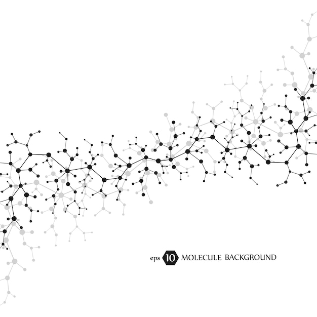 Captivating Molecular Connections: A Visually Striking Network | Jiffy ...