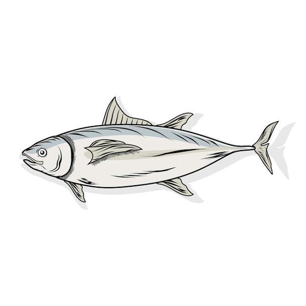 Detailed Illustration of a Sleek and Streamlined Tuna Fish | Jiffy Designs