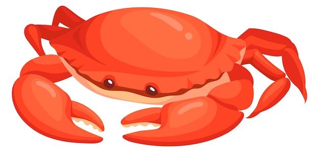 Vibrant Red Crab - A Delightful Seafood Delight | Jiffy Designs