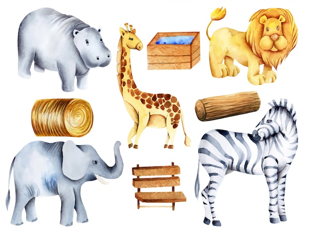 Vibrant Safari-Themed Collection of Jungle Animals and Accents | Jiffy Designs