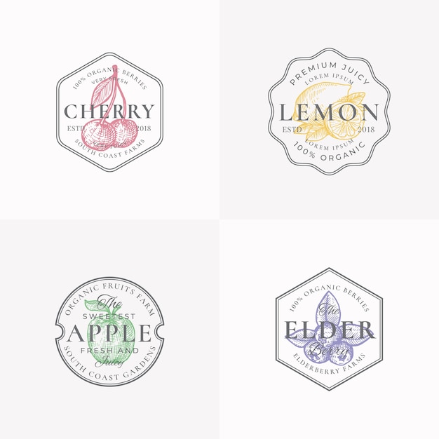 Vintage Fruit Labels with Elegant Floral Designs and Typography | Jiffy ...