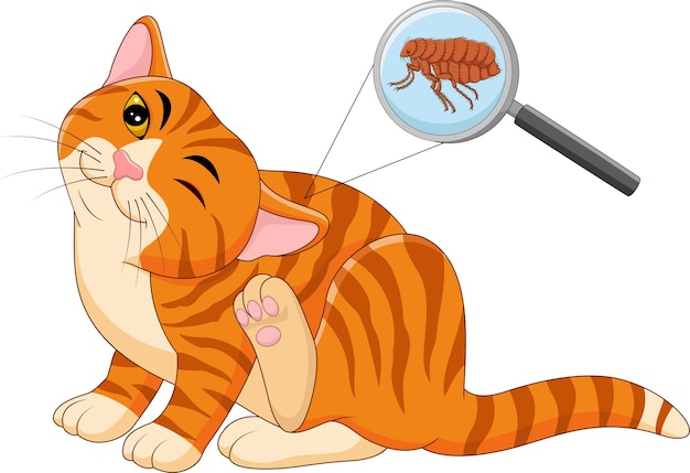 Curious Feline Examines Microscopic Flea Specimen | Jiffy Designs