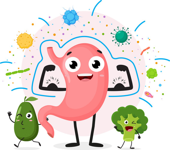 Healthy Stomach With Immunity Defence Cartoon Character, Isolated On ...