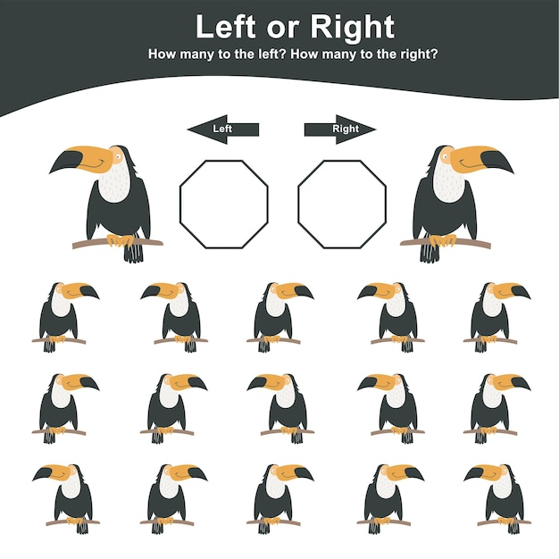 Toucans Facing Left and Right: Visual Comparison Puzzle | Jiffy Designs