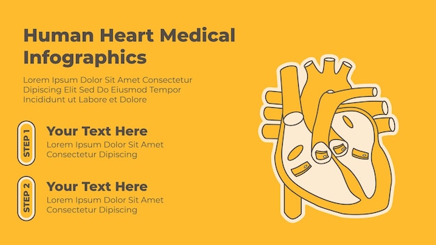 Detailed Anatomical Illustration of the Human Heart | Jiffy Designs